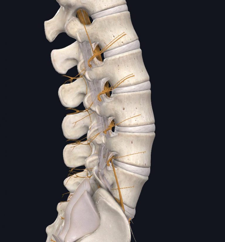 What is Peripheralization vs. Centralization? - Jaco Rehab