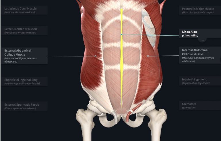 How Can I Heal My Diastasis Recti? - Jaco Rehab