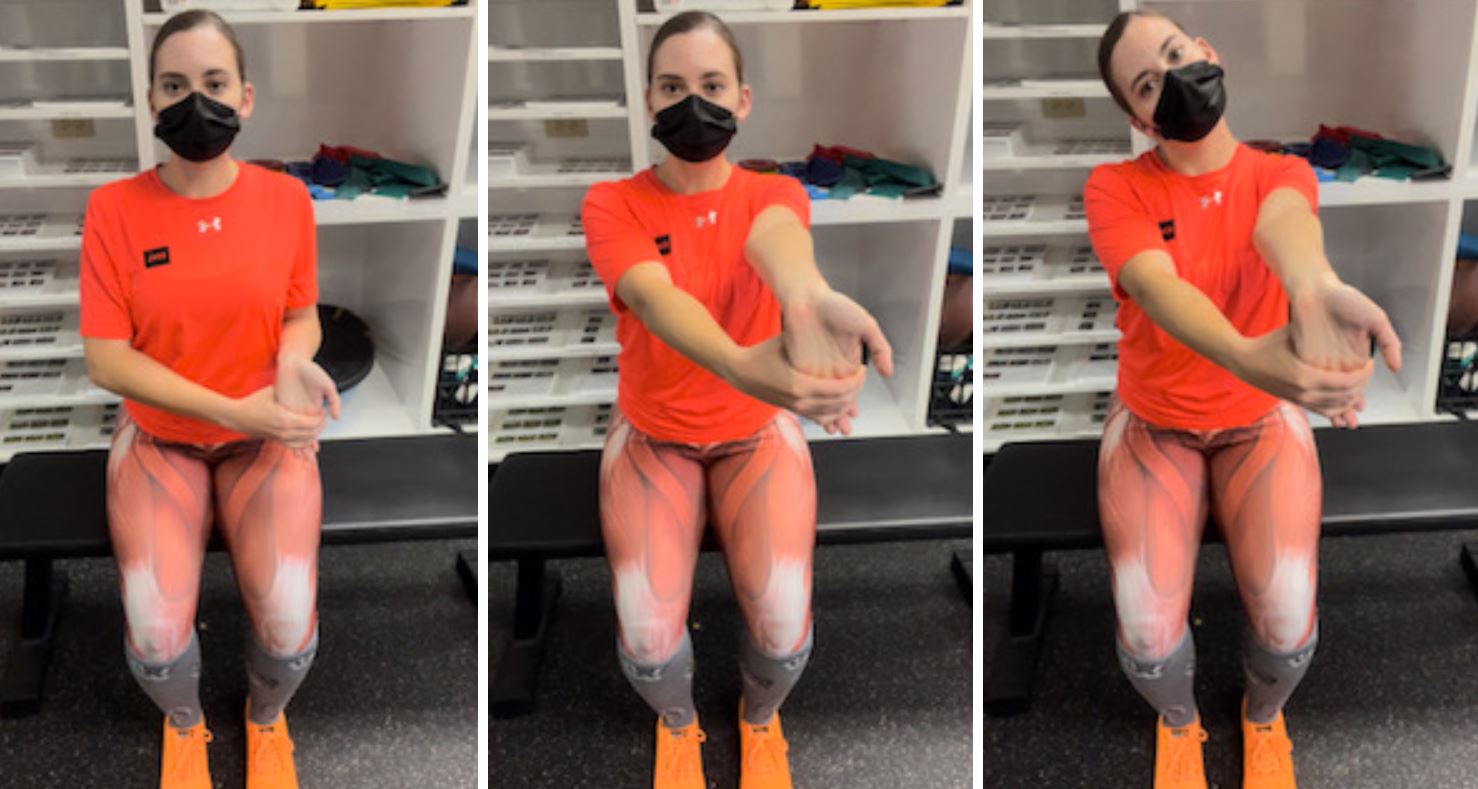 Nerve Glide Sequence Jaco Rehab